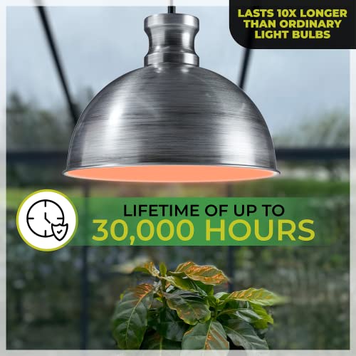 Bio Green 500-USZ Florabooster LUM 500 Grow Indoor 60w Lightbulb Lamp with 3m Connection Cable β Energy Saving House Plants β High Light Intensity, Brushed zinc