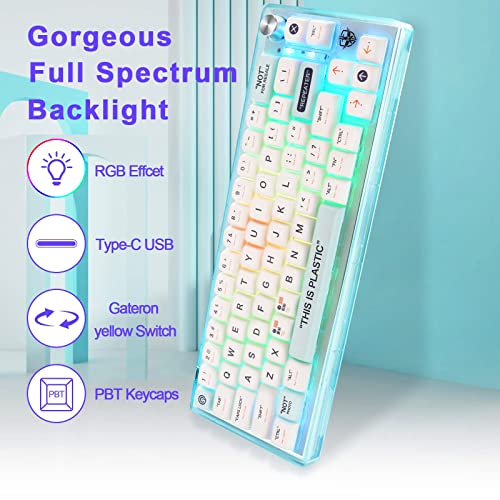 BOYI TD66 RGB Tri-Mode Hot Swappable 65% Mechanical Gaming Keyboard with Knob,66 Key 2.4Ghz/Bluetooth 5.0/Wired Gateron Yellow Switch Programmable Keyboard for Mac/Win/Gamers(Plastic XDA Keycaps)