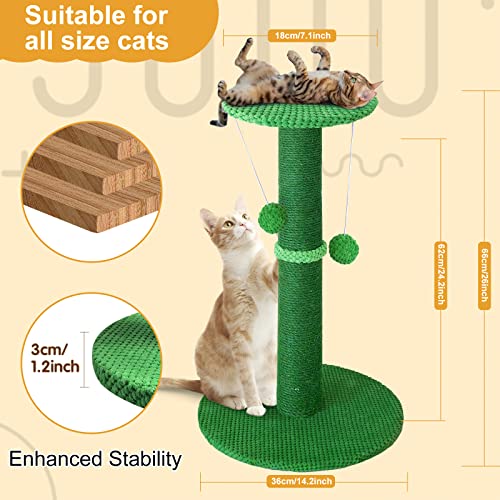 Cat Scratching Post Sisal Cat Tree Cactus Cat Scratcher, Scratching Posts for Indoor Cats Kitten, Cute Tall Cat Scratch Post with Perch to Protect Furniture, 2 Dangling Ball Toys, Stable Cat Stand