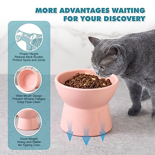LIONWEI LIONWELI Ceramic Cat Feeder Bowl, Premium Pet Feeder, Extra Large 550 ML, Whisker Friendly, Microwave and Dishwasher Safe, 6.1 inch x 6.1 inch x 5.1 inch