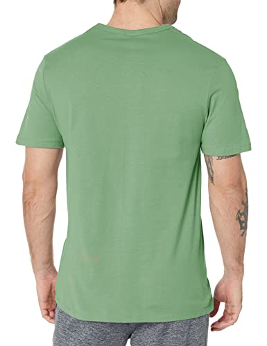 Champion T, 100% Cotton Shirt for Men, Lightweight Tee, Multiple Graphics, Native Fern Green-Y08254, Small