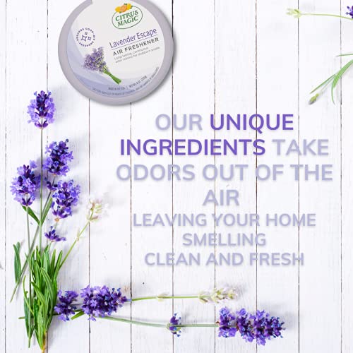 Citrus Magic Odor Absorbing Solid Air Freshener, Lavender Escape, 8-Ounce, 8 Ounce (Pack of 3), 3 Count
