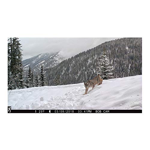 Browning Trail Cameras Strike Force Pro X 20MP Game Camera (10-Pack) Bundle with 32GB Memory Cards (20-Pack) and Card Reader (31 Items)