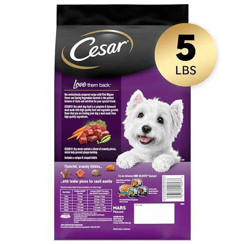 CESAR Adult Small Breed Dry Dog Food, Filet Mignon Flavor with Spring Vegetables Garnish, 5 lb. Bag