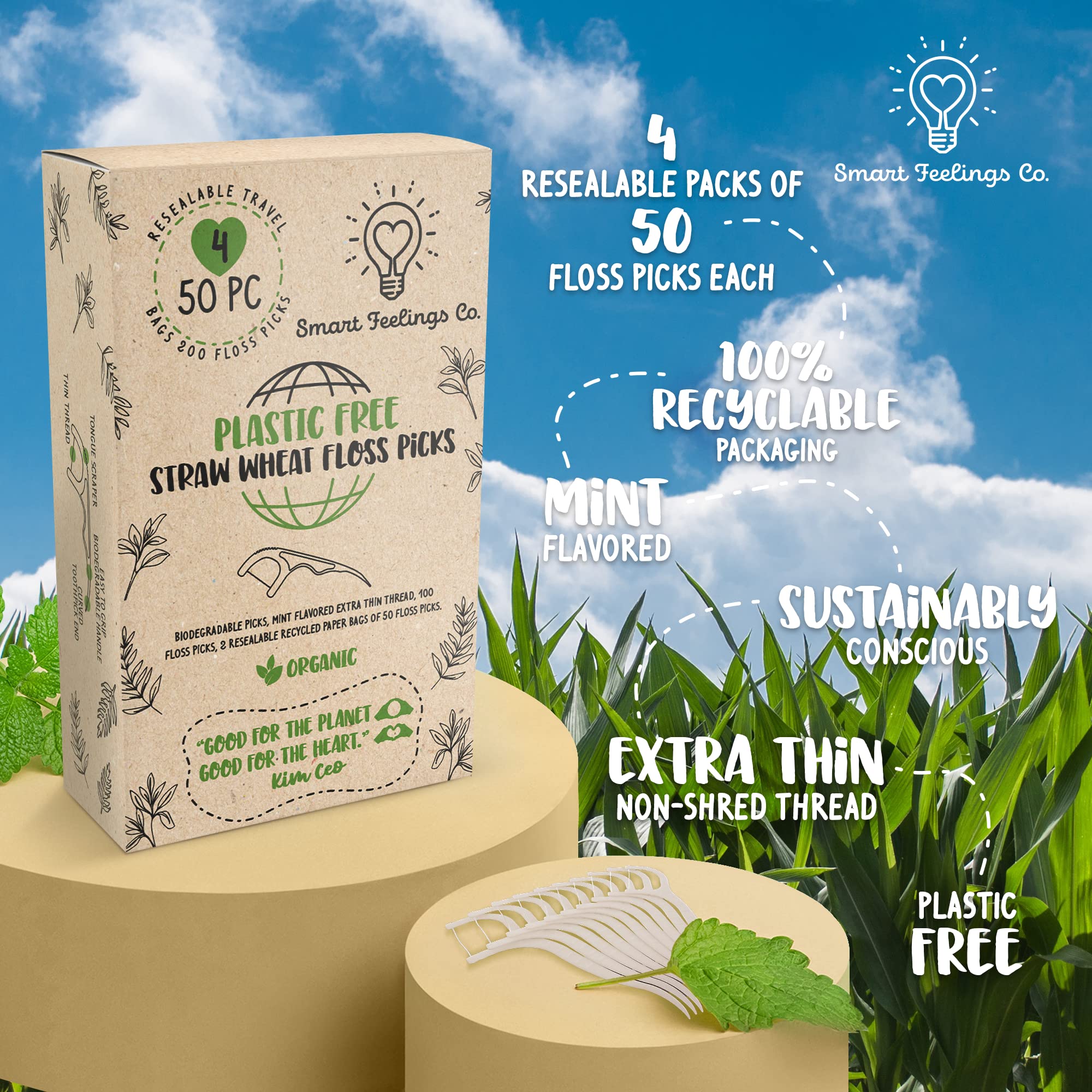 Biodegradable Dental Floss Picks 200 Count | Eco-Friendly Bamboo Like Sustainable Flossers for Enviromentally Conscious Adults and Kids Teeth Cleaning