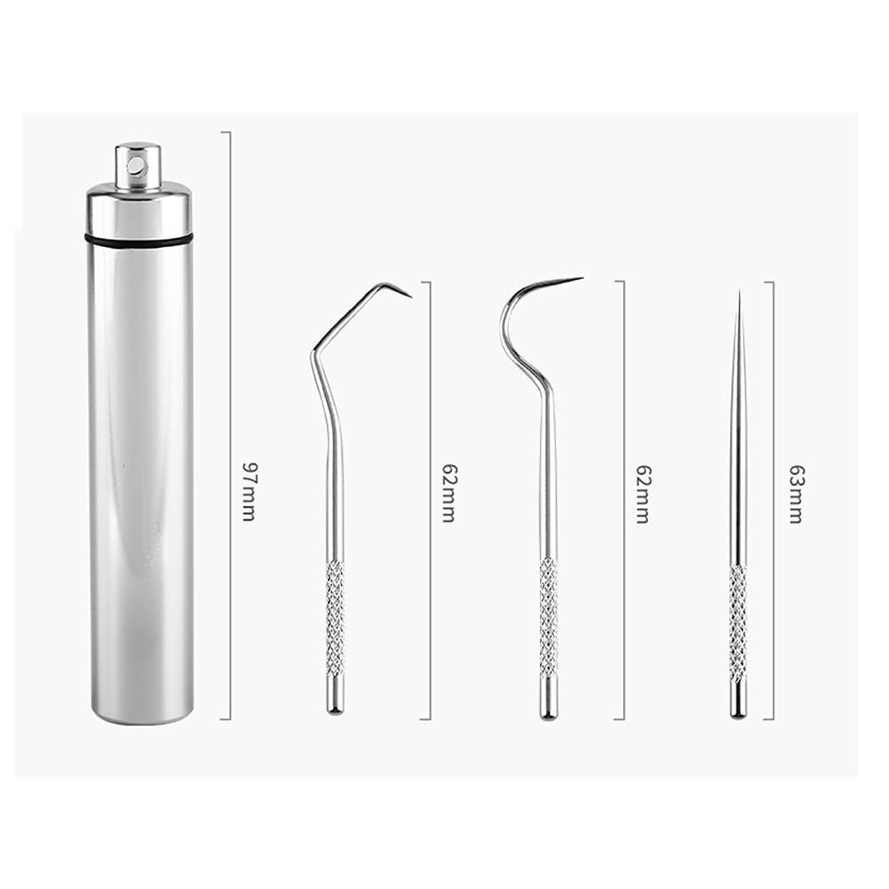 Angzhili 3 Pcs/Set Stainless Steel Toothpicks Kit,Reusable Tooth Picks Set,Portable Pocket Toothpick,Travel Toothpicks with Holder for Travel, Outdoor