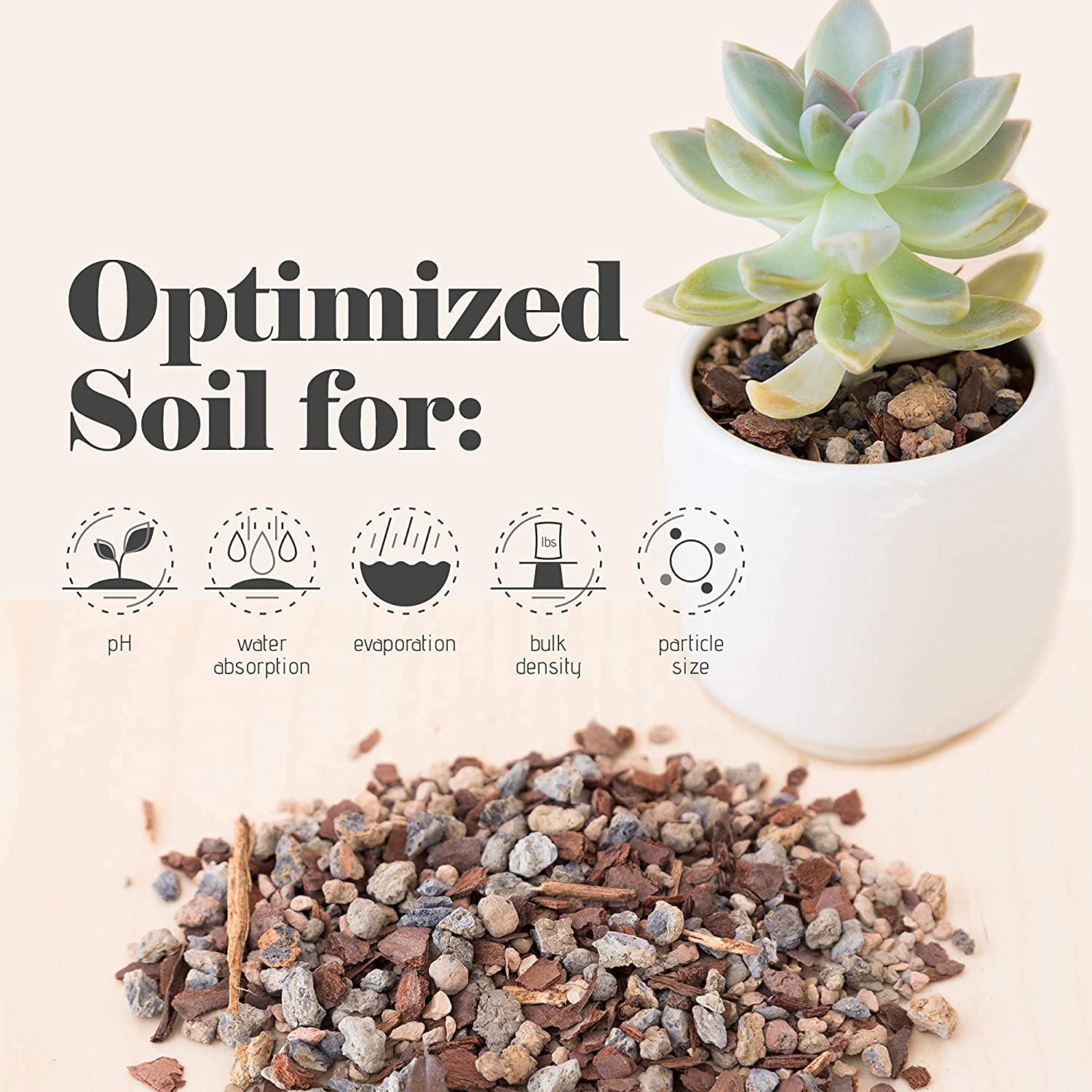 Bonsai Jack Succulent and Cactus Soil - Jacks Gritty Mix - 1 Gallon β Fast Draining β Fight Root Rot β Optimized pH β¦