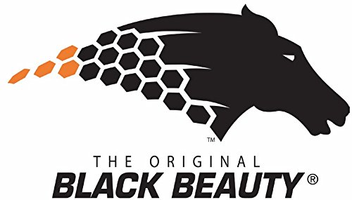 BLACK BEAUTY Abrasive Blast Media Medium Abrasive 12/40 Mesh Size for use in Sandblast Cabinet - 10 LBS