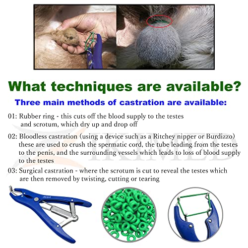 Bloodless Animal Elastrator Castration or Tail Docker Pliers Plastic & Free 100 pcs Elastic Bands (animal only)