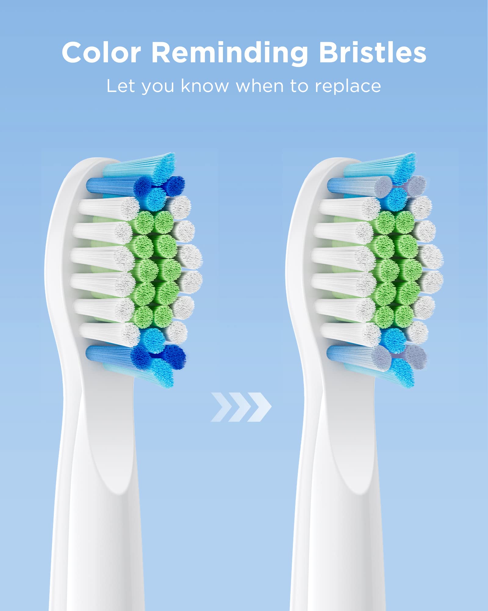 Bitvae Sonic Electric Toothbrush Electronic Toothbrush for Adults with 8 &4 Brush Heads, Travel Rechargeable Power Toothrush for 30 Days Using, Ultrasonic Toothbrush with 5 Modes and Timer (White)