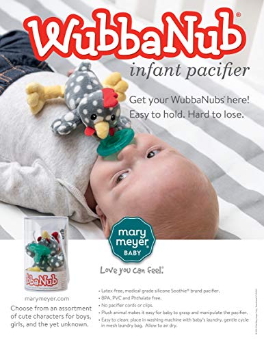Mary Meyer WubbaNub Soft Toy and Infant Pacifier, Afrique Lion (42554), 1 Count (Pack of 1)