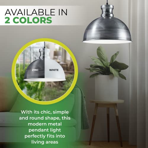 Bio Green 500-USZ Florabooster LUM 500 Grow Indoor 60w Lightbulb Lamp with 3m Connection Cable β Energy Saving House Plants β High Light Intensity, Brushed zinc