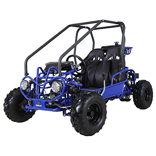HHH Gokart GK125 is a125CC Gokart Fully Automatic Gas 2 Seater Kandi Mini Raptor gokart with Reverse for Youth (Blue)