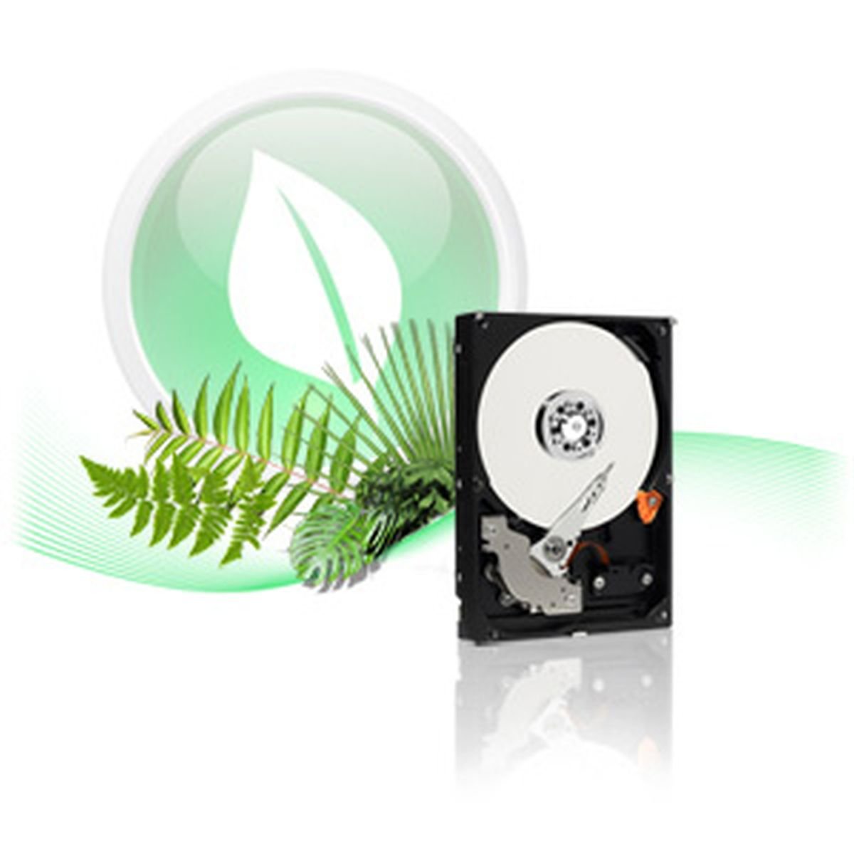 WD30EZRX Western Digital Caviar Green Hard Drive WD30EZRX