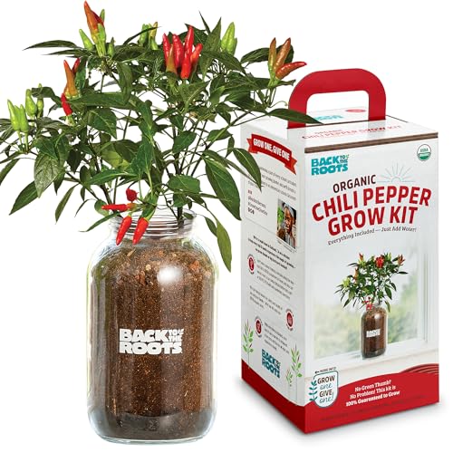 Back to the Roots Non-GMO Chili Planter, Grow Organic Chili Peppers Year Round, Windowsill Grow Kit, Top Gardening Gift, Holiday Gift, & Unique Gift