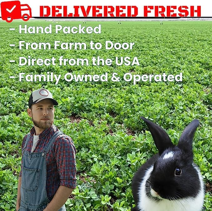 Bunny Honey Bulk Fresh Alfalfa Hay 80oz USDA Organic Alfalfa Hay for Chickens - Best Cut & Delivered Fresh - Promotes Healthy Digestive Function - 5 Pound