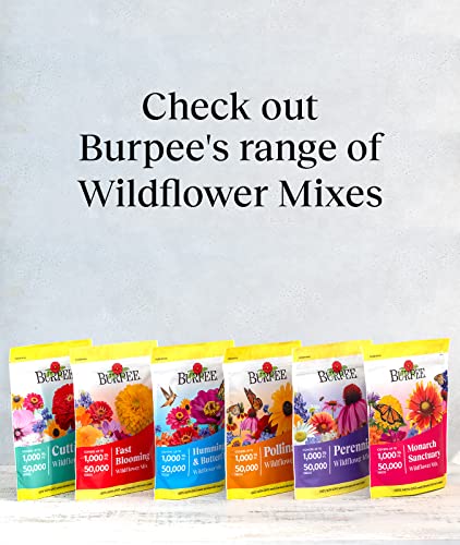 Burpee Wildflower Seed Mix for Pollinators