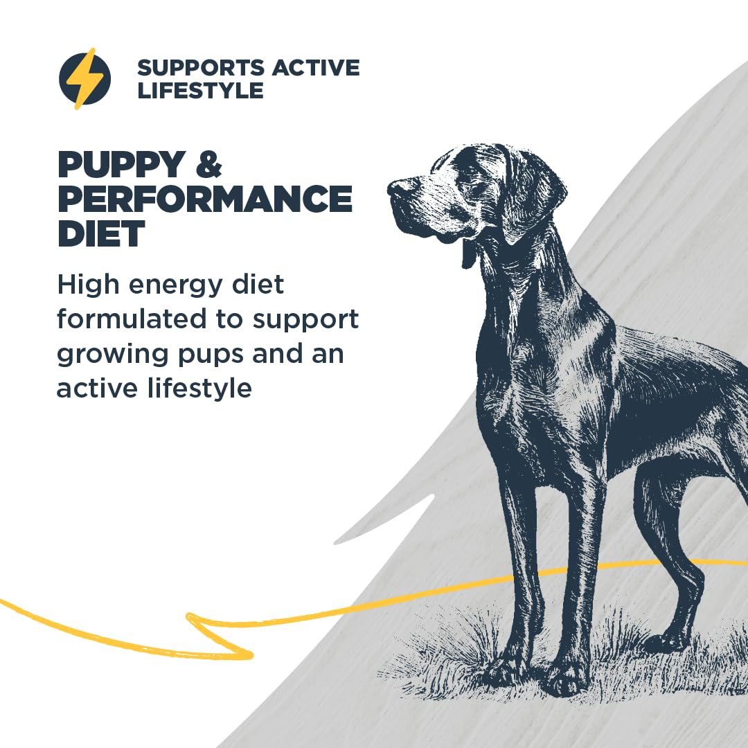 Blackwood Puppy & Performance Dry Dog Food, Chicken Meal with Ancient Grains, 24 Pound Bag for Growing & Working Dogs, Supports Active Lifestyle