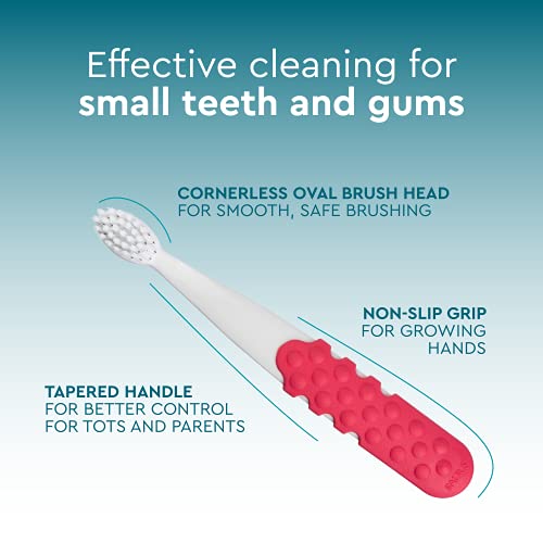 RADIUS Totz Plus Brush Kids Toothbrush Silky Soft BPA Free ADA Accepted Designed for Delicate Teeth & Gums for Children 3 Years & Up - Assorted - Pack of 6