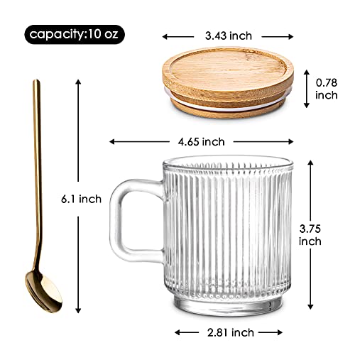 Combler Glass Coffee Mugs, Espresso Cups for Coffee Bar Accessories, Clear Coffee Mug Set of 2, 11oz Glass Coffee Cups with Lids and Spoon, Cute Ribbed Glassware Set for Latte, Cappuccino, Tea, Gift