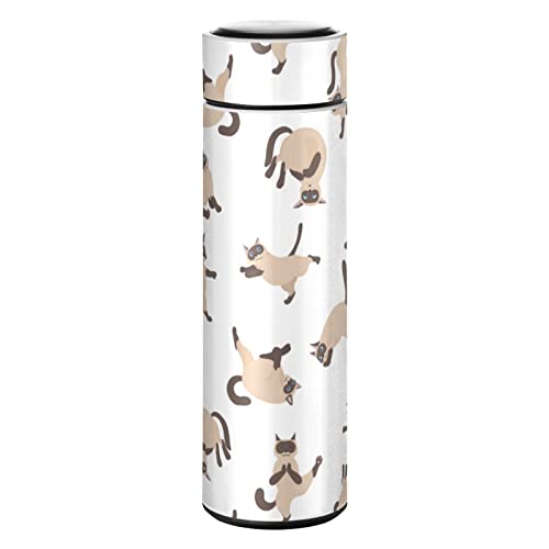 CaTaKu Funny Animals Cat Water Bottle Insulated 16 oz Stainless Steel Flask Thermos Bottle for Coffee Water Drink Reusable Wide Mouth Vacuum Travel Mug Cup