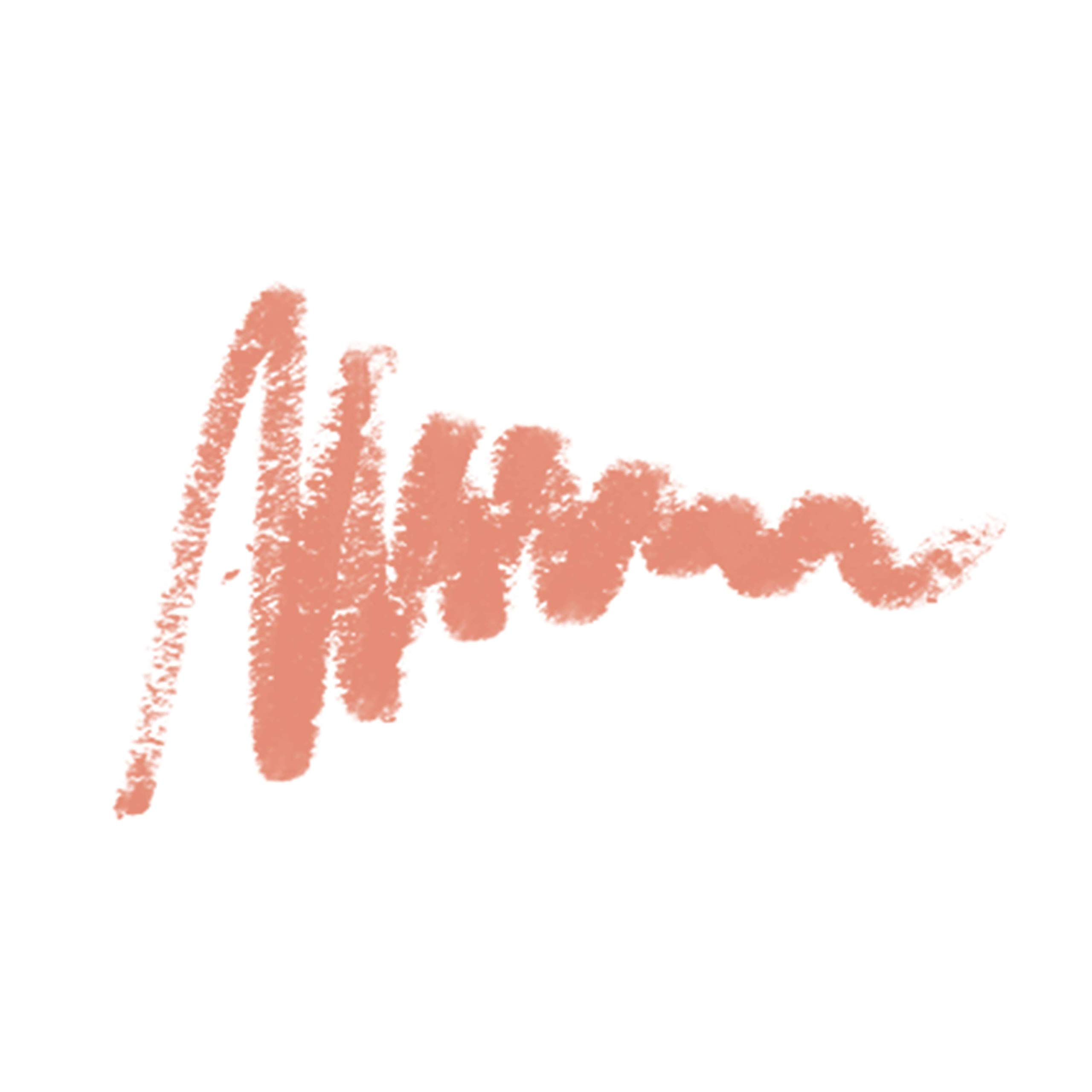 Rimmel Lasting Finish 1000 Kisses Lip Liner, Spiced Nude, 0.04 Fluid Ounce