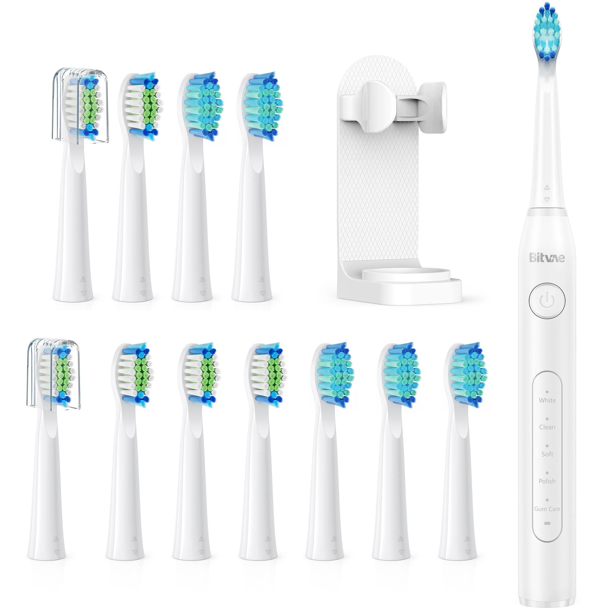 Bitvae Sonic Electric Toothbrush Electronic Toothbrush for Adults with 8 &4 Brush Heads, Travel Rechargeable Power Toothrush for 30 Days Using, Ultrasonic Toothbrush with 5 Modes and Timer (White)