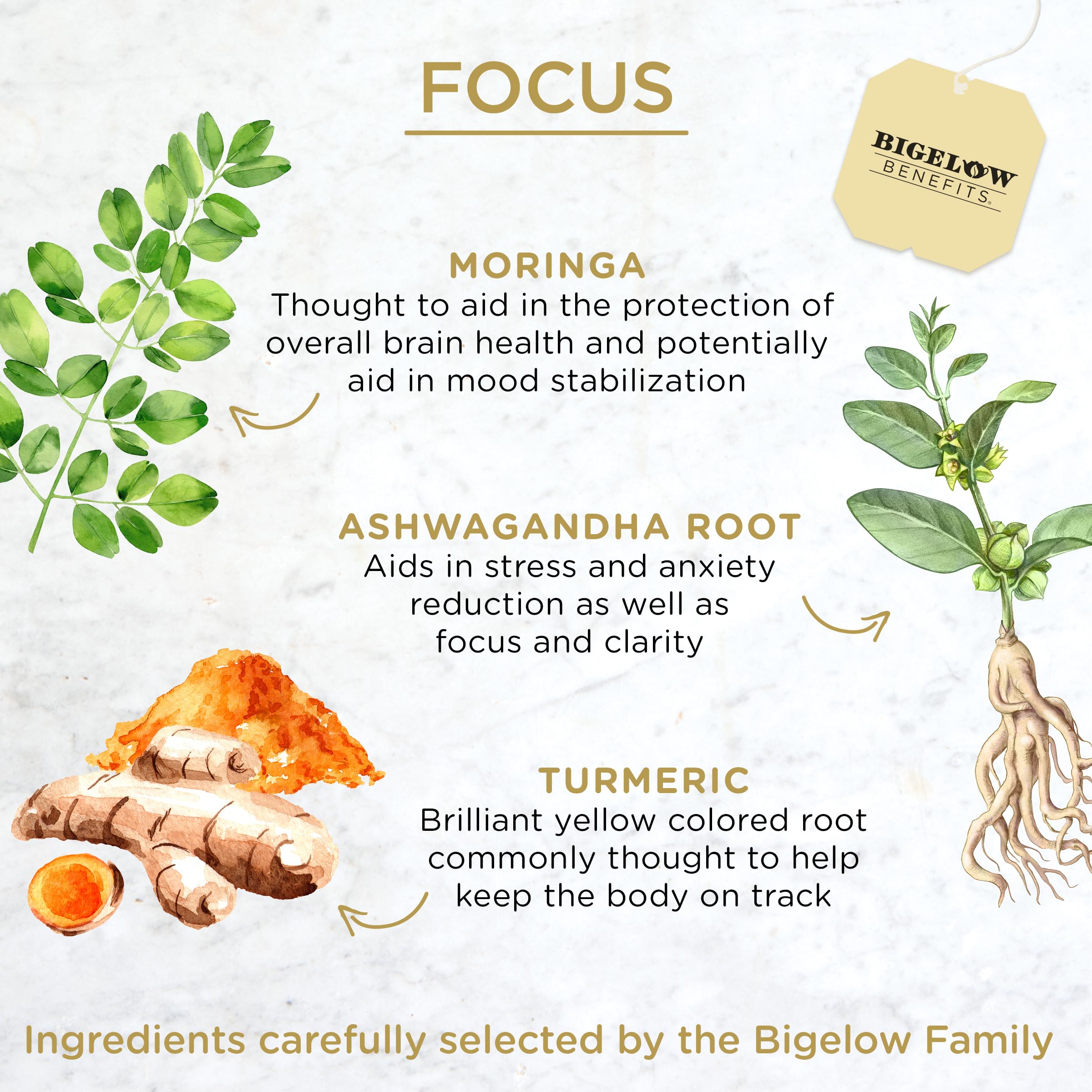 Bigelow Benefits Focus Moringa & Black Tea, Caffeinated, 18 Count (Pack of 6), 108 Total Tea Bags