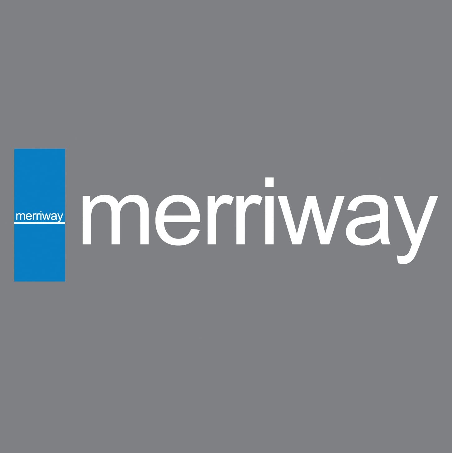 Merriway BH03721, 20 mm (3/4 inch) x 2.1 mm-100 g (Approx. 96pcs) 20 mm x 2.1 mm Galvanised Netting Staple U Nail, Grey