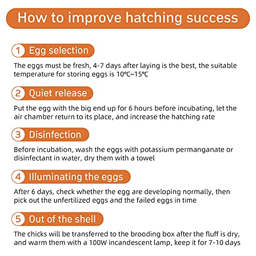 ayakol Small 6 Egg Incubator with External Lever Egg Turner,Temperature Control, Humidity Control, Led Candler, Hatcher for Chicken Duck Pigeon Quail Parrot,360 Degree View…