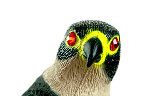 Bird-X Falcon Predator Decoy Bird Scare