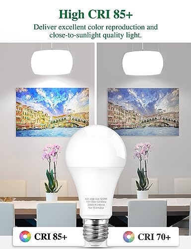Bombubilla A21 LED Light Bulbs, 150-200W Equivalent 23W LED Bulb, 2500 Lumens, Daylight White 5000K, E26 Base, Non-Dimmable, Super Bright Light Bulbs for Home Office Shop Warehouse Garage, 6 Pack