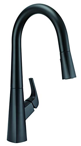 DANZE D454418BS Kitchen Faucet, Satin Black