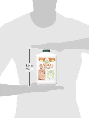 Bobbex Concentrated Animal Repellent Rabbit, Squirrel, and Chipmunk Repeller Concentrate (32 oz.) B550120
