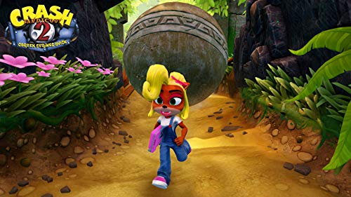 Crash Team Racing + Crash Bandicoot N.Sane Trilogy Bundle – Xbox One