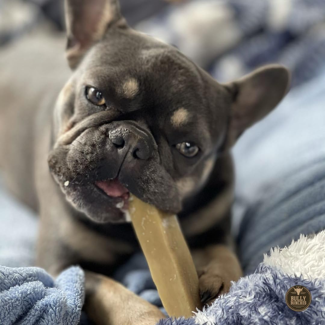 Bully Bunches Small Authentic Yak Cheese Himalayan Chews for Small Dogs & Puppies - All Natural Dog Treat Dental Chews, Made with Real Yak Milk for Teething - Lactose & Rawhide Free (3 Pk)