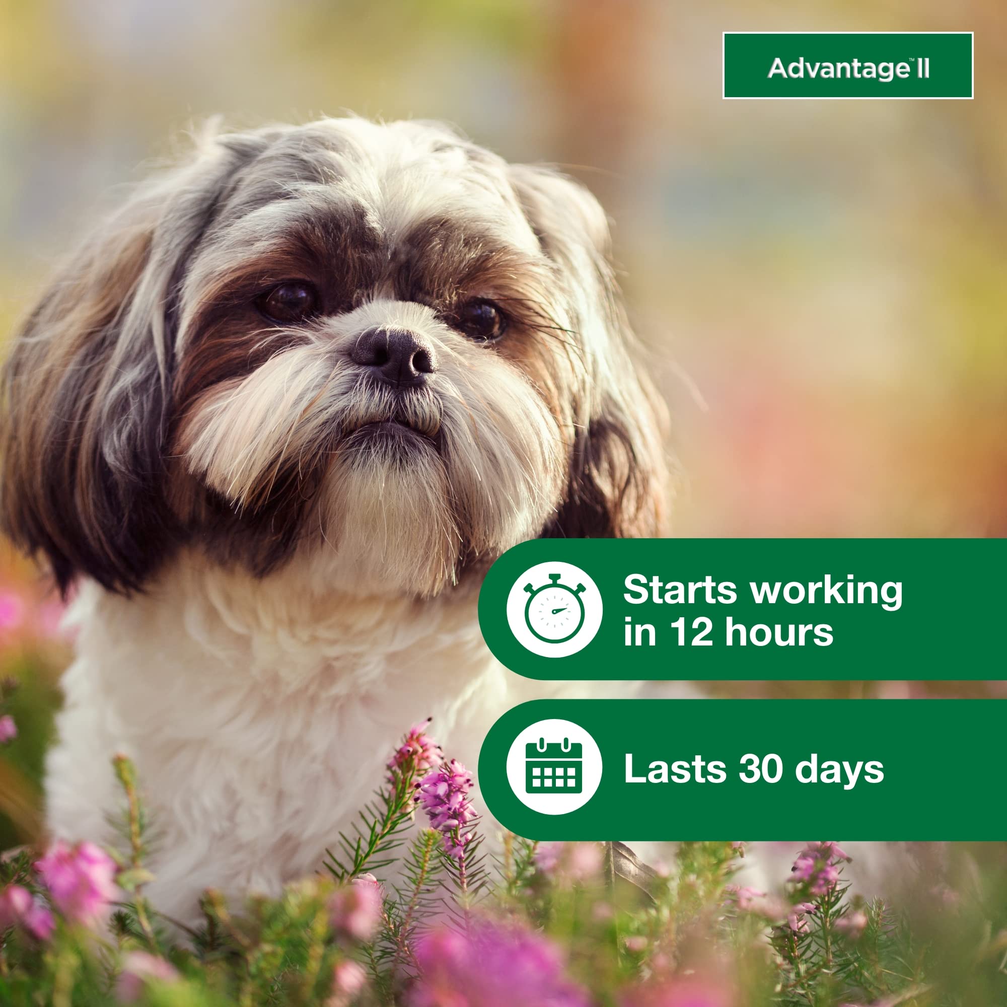 Bundle of Advantage II Small Dog| Dogs 3-10 lbs. | 4-Month Supply + Pet Protect Probiotic Balance+ Dog Supplement | Oral Gel | 32g