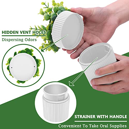 Denture Bath, Invisible Denture Case Designed As Artificial Eucalyptus Potted Plants, Denture Cup With Strainer For Retainer, Mouth Guard & Dentures, Perfect For Home Decorationā¦