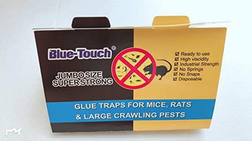 Blue-Touch Extra Large Strong Rats Glue Traps, Peanut Butter Scented Glue Boards for Mouse,Rats, mice, Snakes and Crawling pests. Jumbo Size 12.5 x5.8 inches, 1.75 OZ β 12 Traps