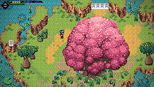 Crosscode - (PEGI) (PlayStation 4)