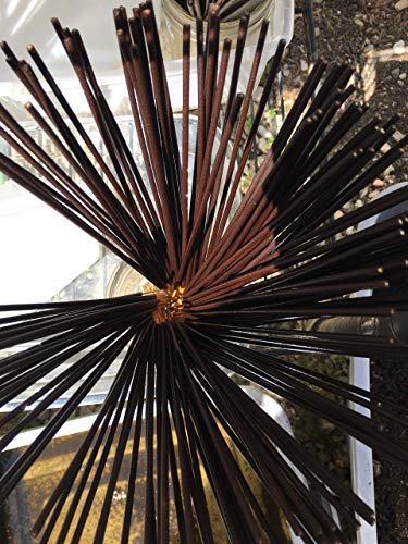 California Sun Cured Incense