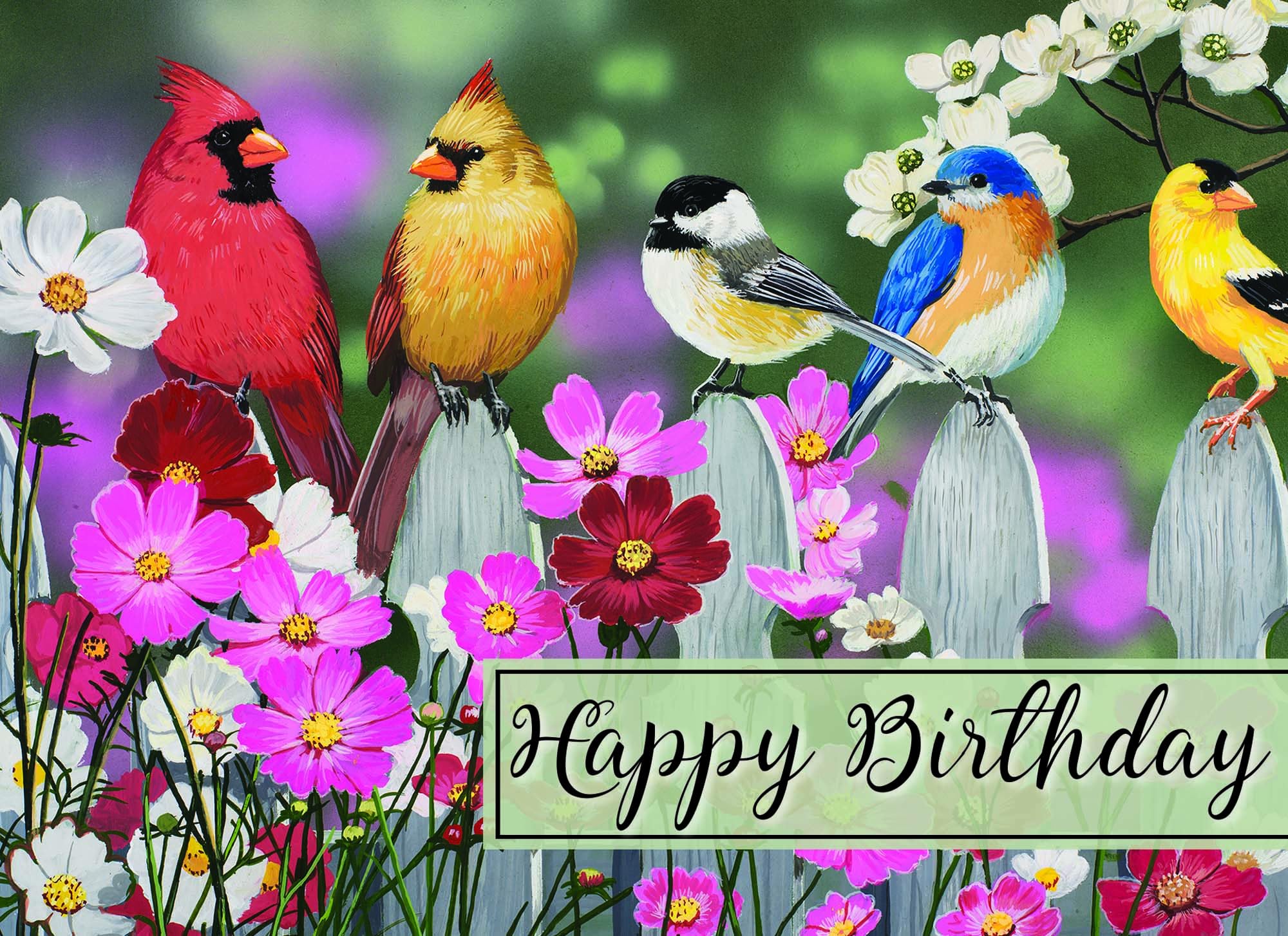 Crown Point Graphics Shared Blessings Birthday Birds 12 Boxed Birthday Cards, Beautiful Birds with KJV Scripture, Art by William Vanderdasson