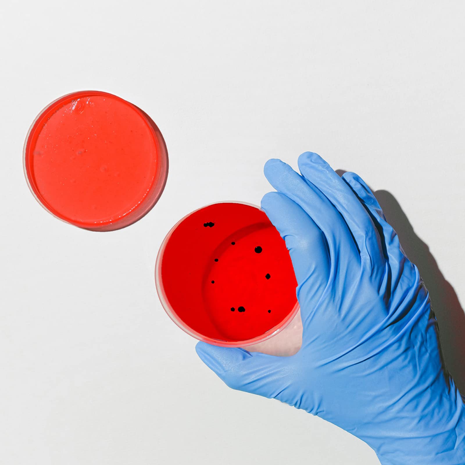 Bekith 100 Pack Plastic Petri Dishes with Lids, 60mm Dia x 15mm Deep Sterile Clear Petri Dishes with 100Pcs Plastic Transfer Pipettes (3ml) for Lab, Science, Experiment