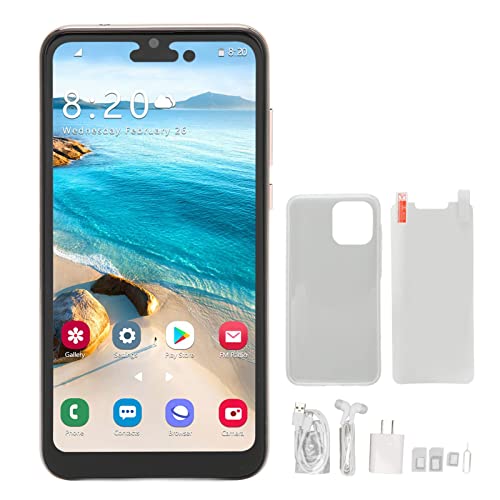 Dilwe 6.1'' Pro Unlocked Cellphone, 4GB 64GB Dual SIM Card 4G Network Mobile Phone, Face ID Unlocked Smartphone for Android 11 4000mah Battery(6.1'' Black)