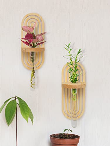 Biubee Plastic Wall Hanging Planter Tubes with Wooden Holders- 4 Set Separate Wall Mounted Propagation Plant Station Stable Hanging Test Tube Vase for Indoor Hydroponics Plants Home Office Decor