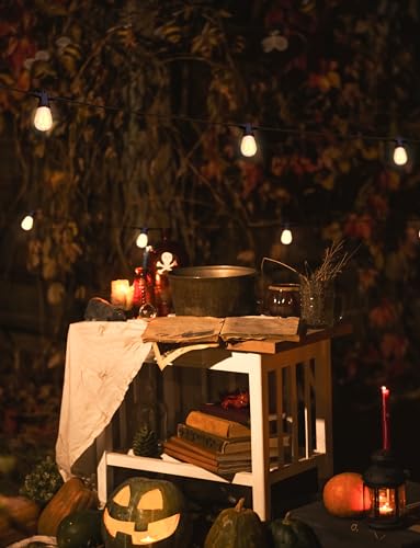 Brightech Ambience Pro Solar Powered LED Outdoor String Lights - 27 Ft Commercial Waterproof Patio Lights with Flaming, Flickering Bulbs - Shatterproof String Lights for Your Halloween, Porch, Deck