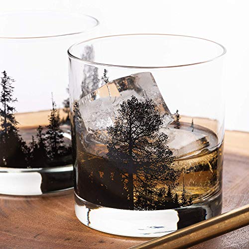 Black Lantern Whiskey Glasses β Forest Landscape Cocktail Glasses - Set of 2 Glasses - Old Fashioned Rock Glass Set - 11oz. Tumbler Glass