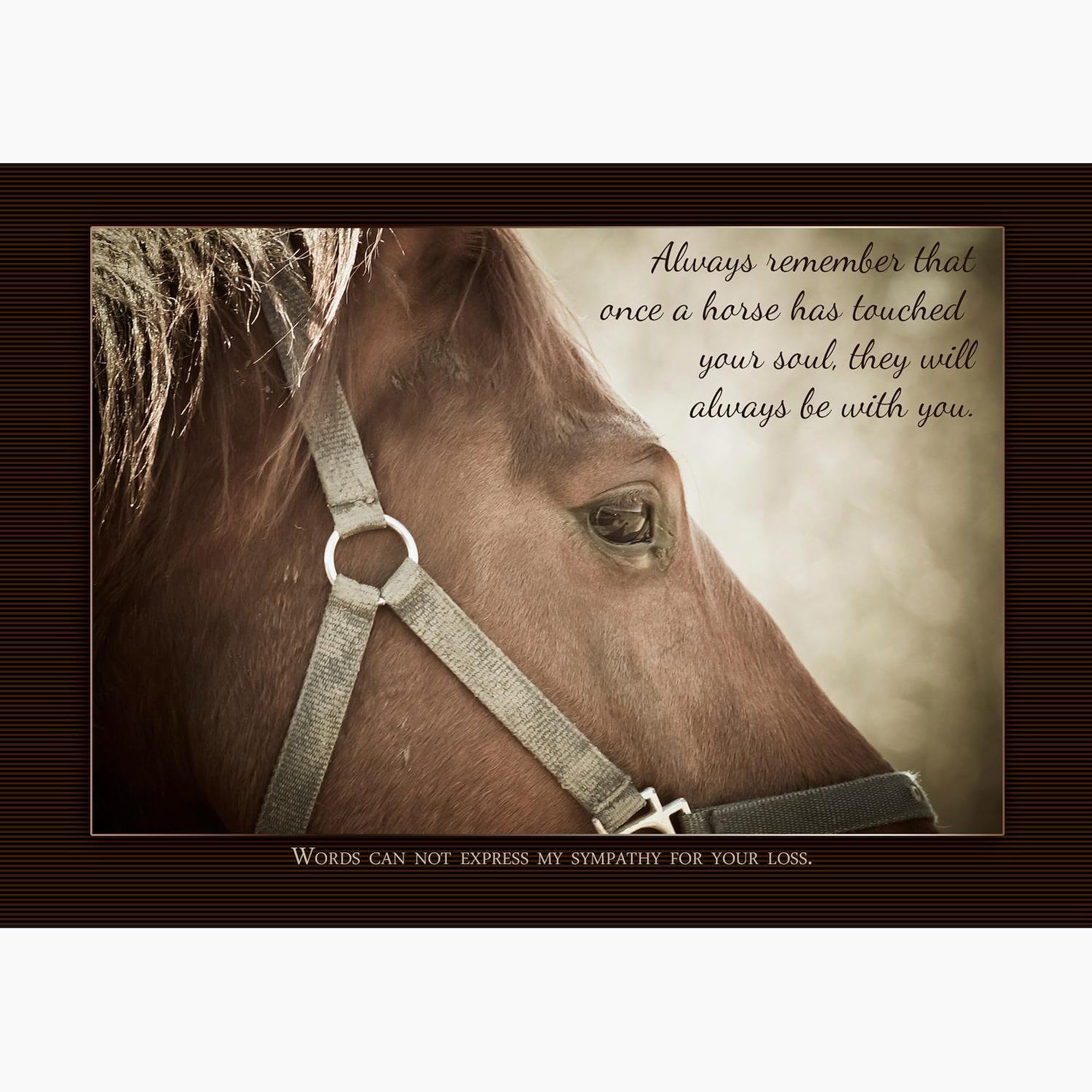 CafePress Horse Sympathy (Pk Of 20) Greeting Cards Greeting Card (20-pack), Note Card with Blank Inside, Birthday Card Matte