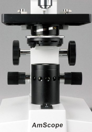 AmScope B100B-E Digital Compound Binocular Microscope, 40X-2000X Magnification, Brightfield, Tungsten Illumination, Abbe Condenser, Plain Stage, Includes 0.3MP Camera and Software