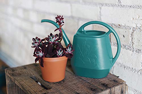 Bloem 100532979 AW21-31 56 oz Deep Sea Aqua Rite Watering Can, 1/2 Gal
